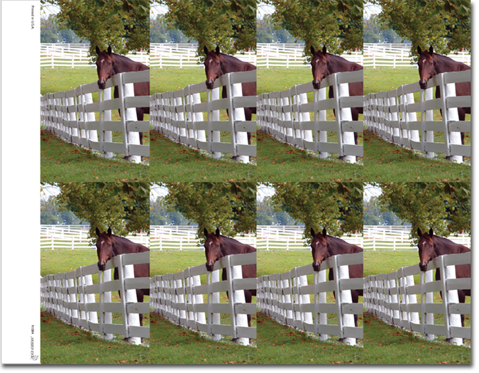 Peaceful Pasture Prayer Cards