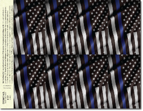 Thin Blue Line Police