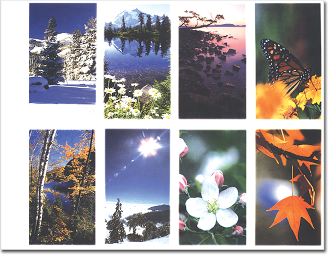 Seasons Medley Prayer Cards
