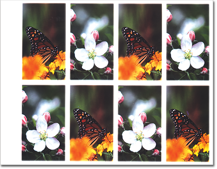 Spring Awakening Prayer Cards