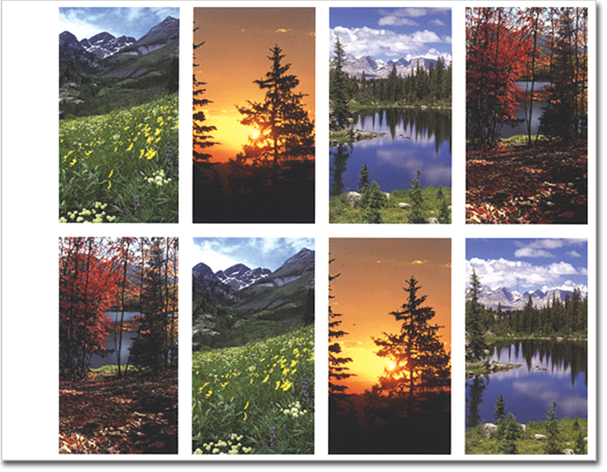 Mountain Splendor Prayer Cards