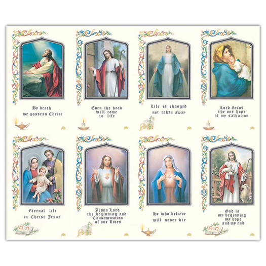 Immaculate Prayer Cards
