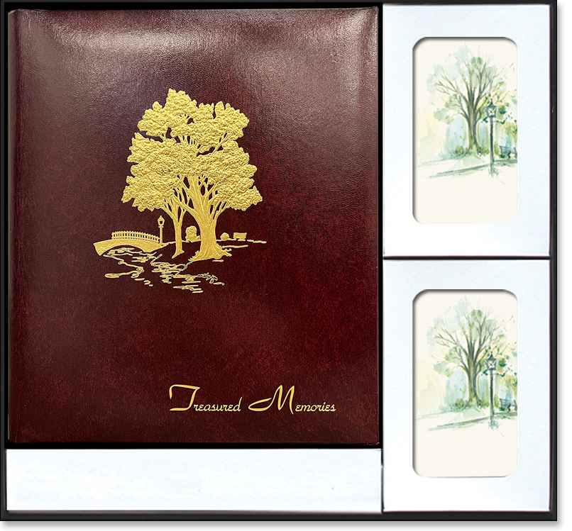 Treasured Memories Box Set
