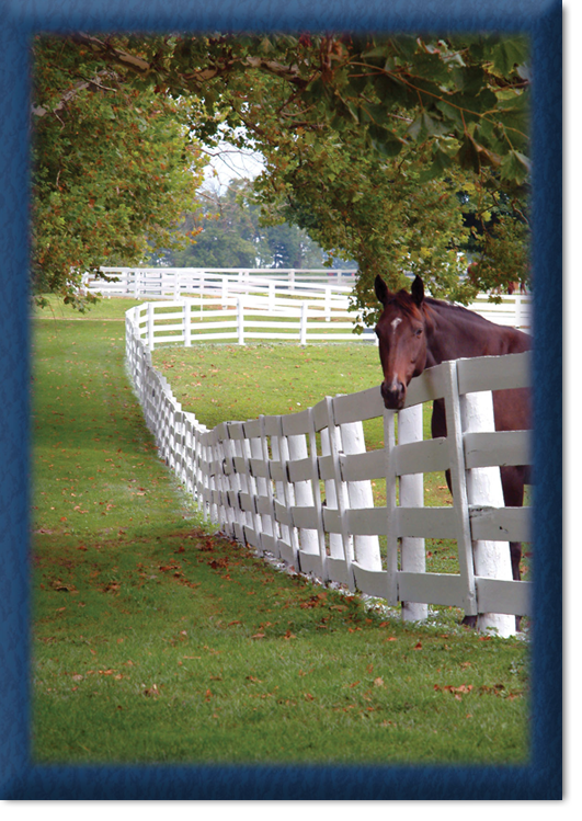 Peaceful Pasture Series