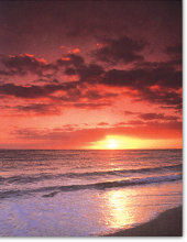 Beach and Sunset Service Folders