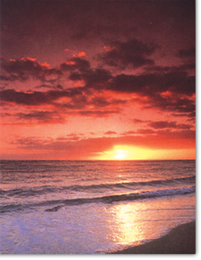 Beach and Sunset Service Folders