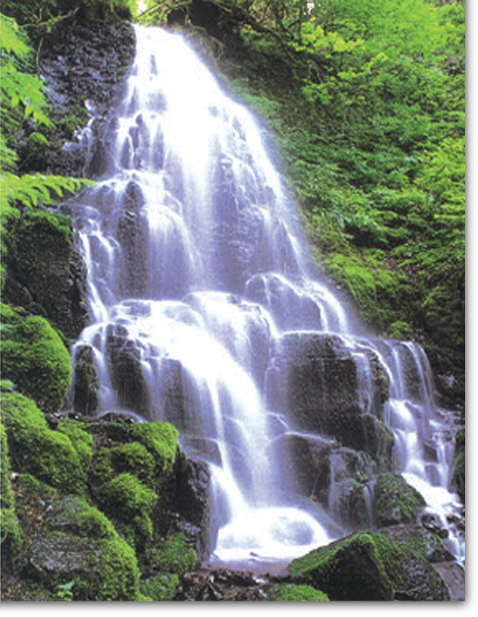 Green Waterfall Service Folders