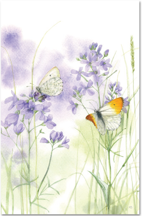 After the Rain Series