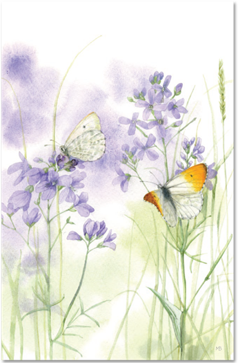 After the Rain Series