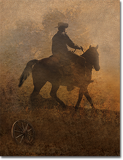 Cowboy Series
