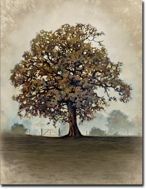 Family Tree Service Folders