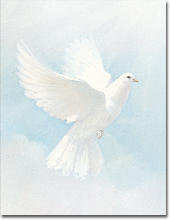 Divine Flight Service Folders