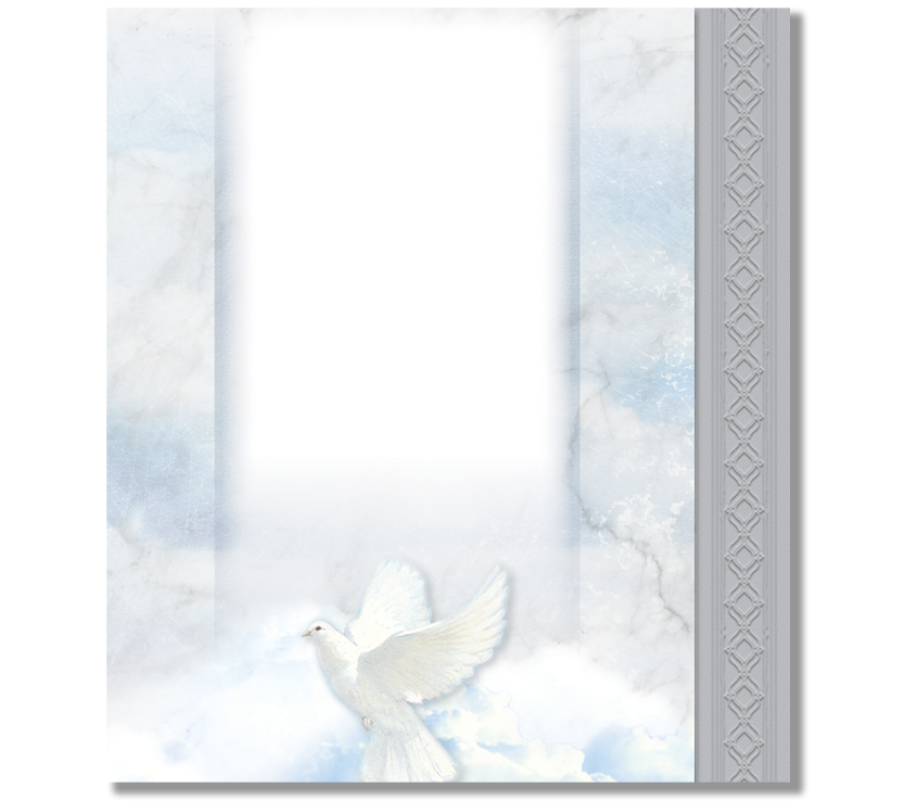 White Wings | Divine Flight MIP Deluxe Service Folders