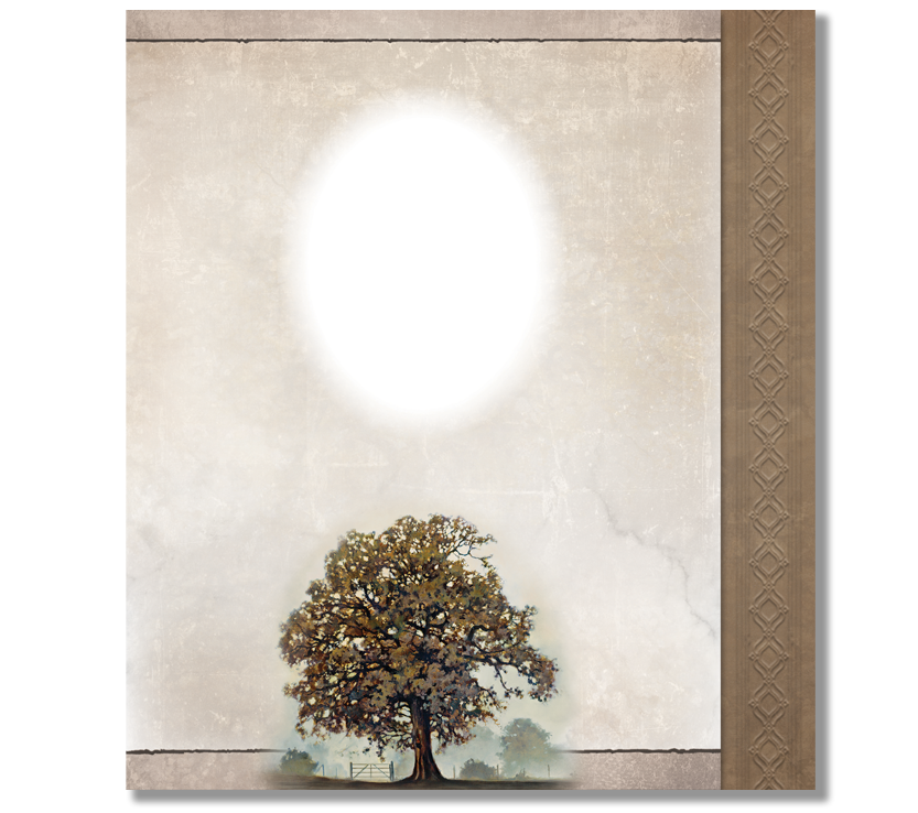 Family Tree MIP Deluxe Service Folders