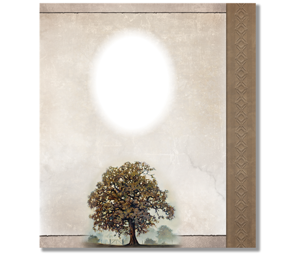 Family Tree MIP Deluxe Service Folders