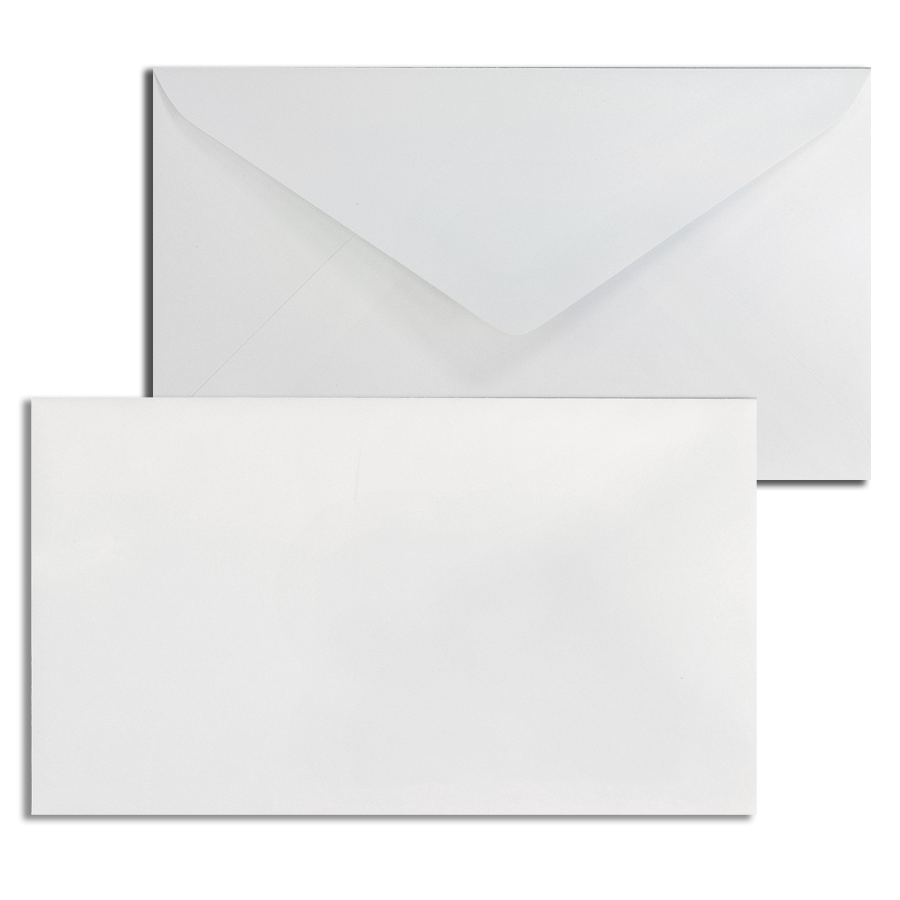 Tri-Fold Envelope