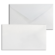 Tri-Fold Envelope