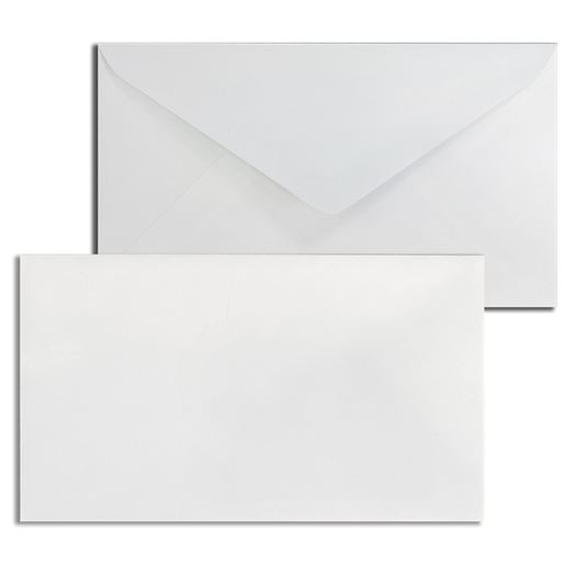 Tri-Fold Envelope