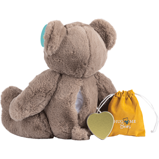 Hug Me Teddy Bear
