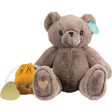 Hug Me Teddy Bear