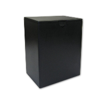 Temporary Cremains Container
